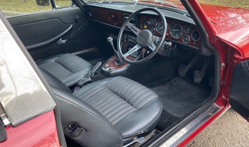 Stags for Sale | Stagbay